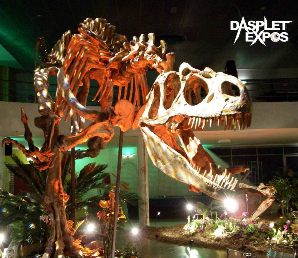 Dinosaur Denver Colorado and the Diplodocus Skeleton