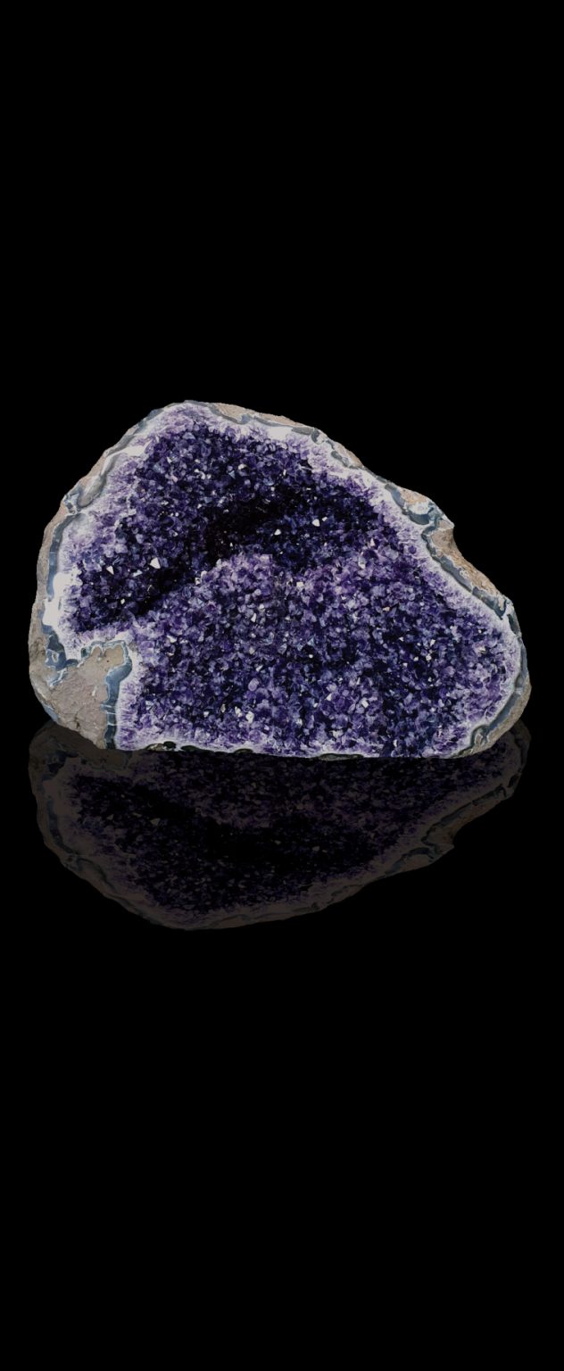 Denver Coliseum Minerals Fossils Gems Jewelry Show Guide - Colorado ...